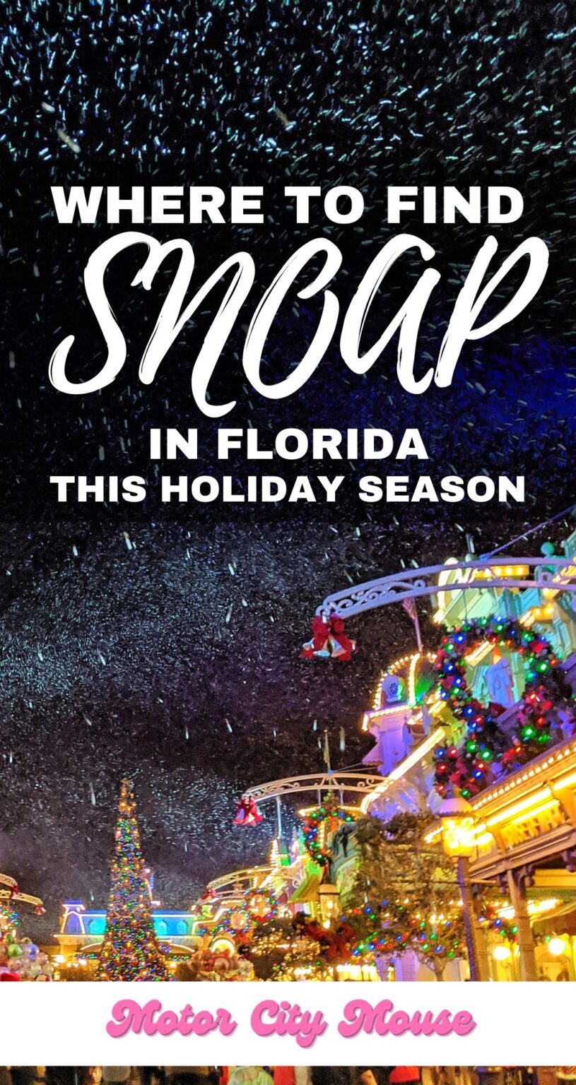 Where to Find Snow (AKA Snoap) in Florida this Holiday Season